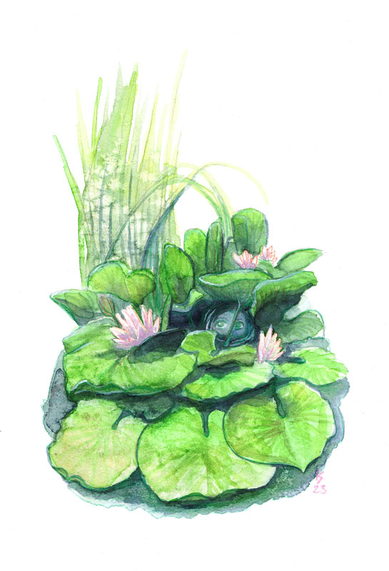 Illustration - Arborum Art